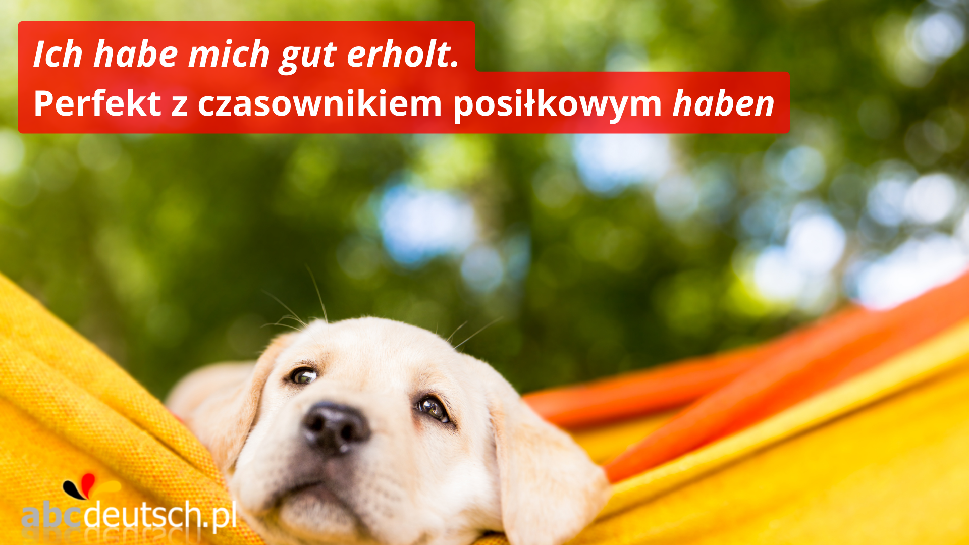 Czas przeszły Perfekt z czasownikiem posiłkowym "haben" - ABCDeutsch